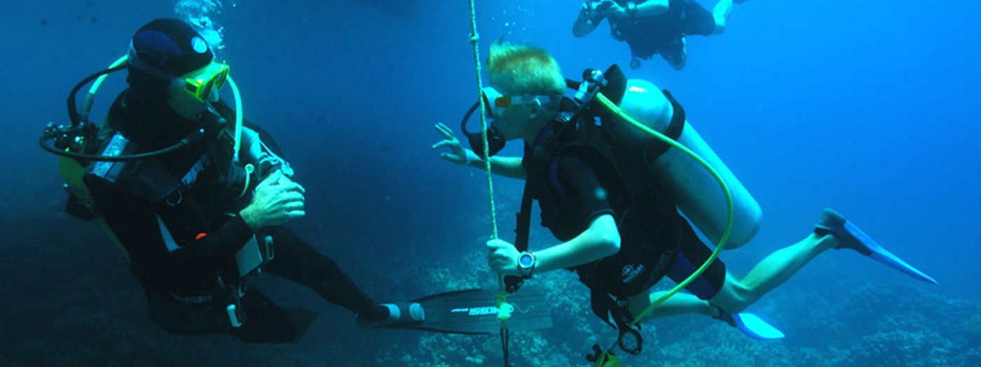El Gouna Dive Centres at Amy Beasley blog